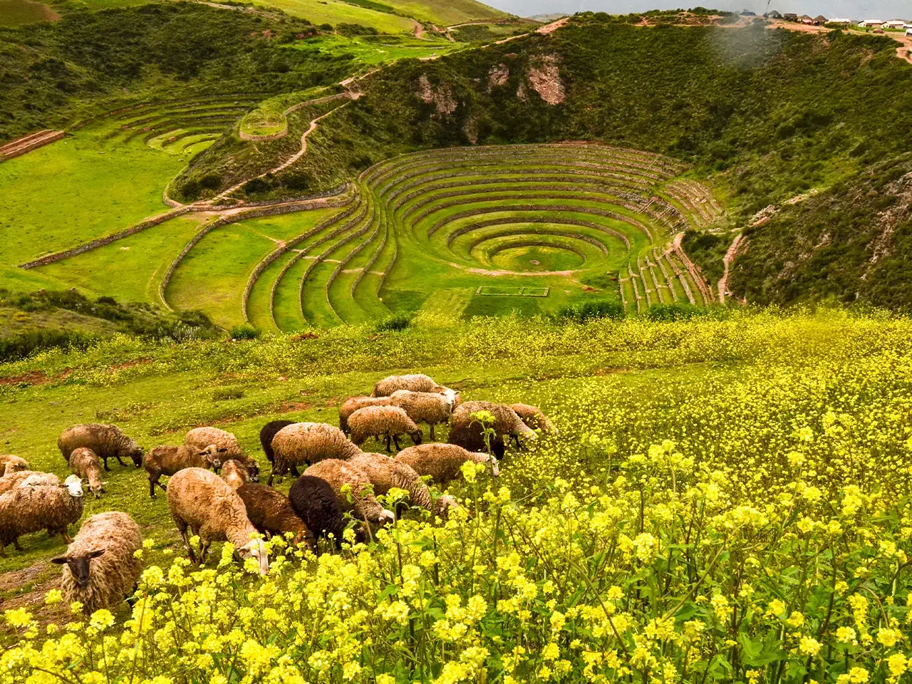 Tour a Maras, Moray y Chinchero